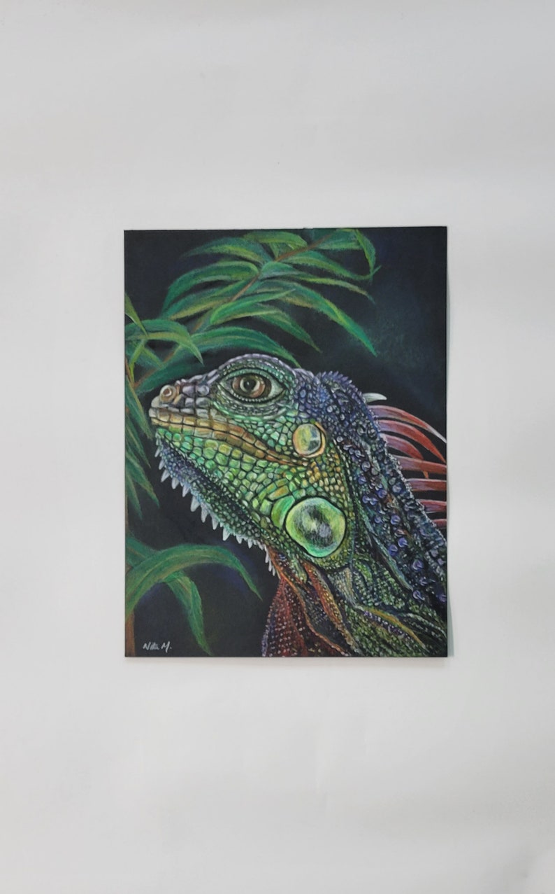 Original Iguana Colored Pencil Drawing - Etsy