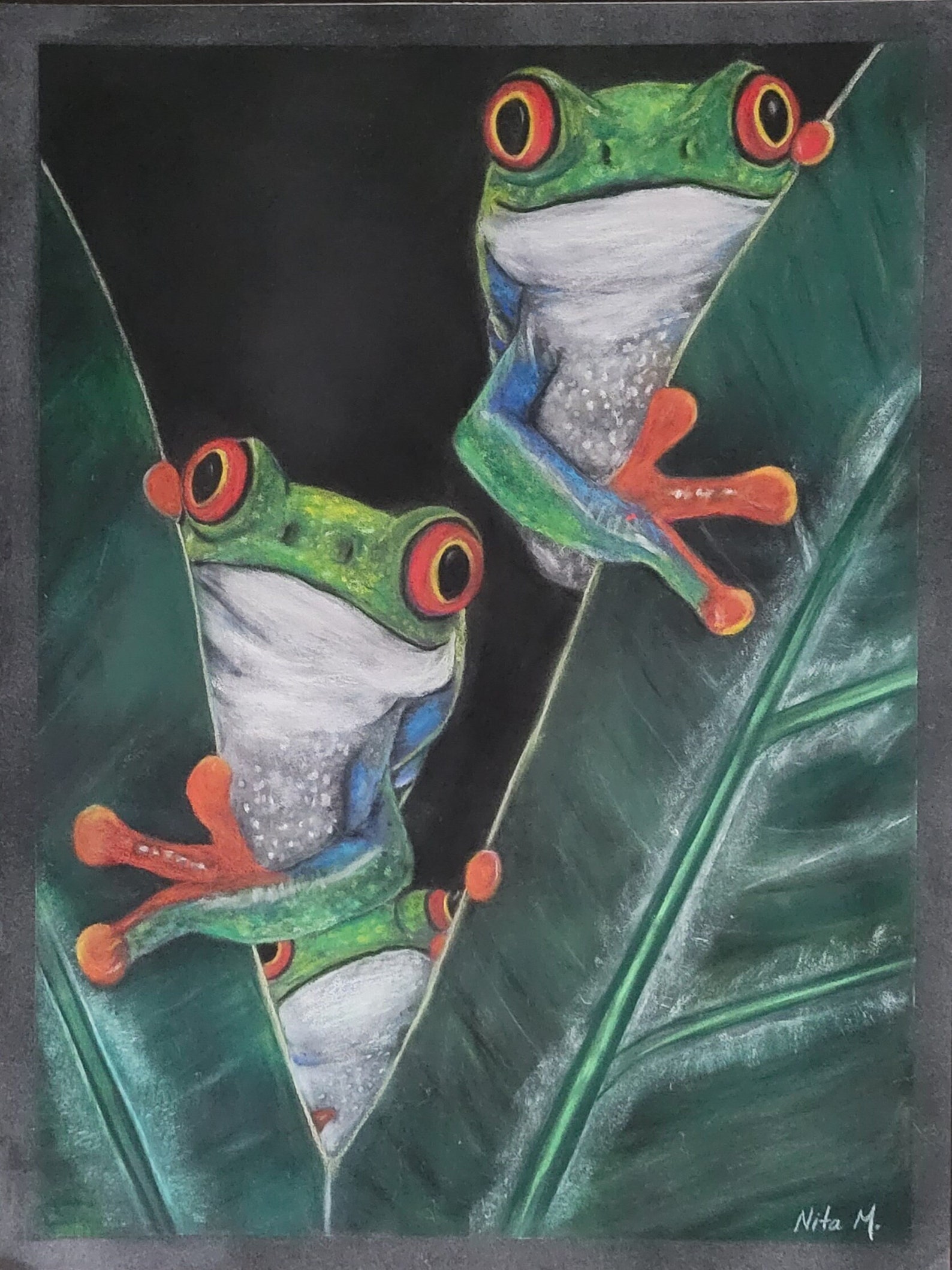 Original Tree Frog Pastel Drawing - Etsy
