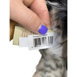 Folkmanis Peregrine Falcon Hand Puppet 20 Realistic Plush Toy for Kids ...