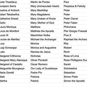 Custom Bundle of Saint Illustrations DIGITAL DOWNLOAD up to 10 Saints 8 ...