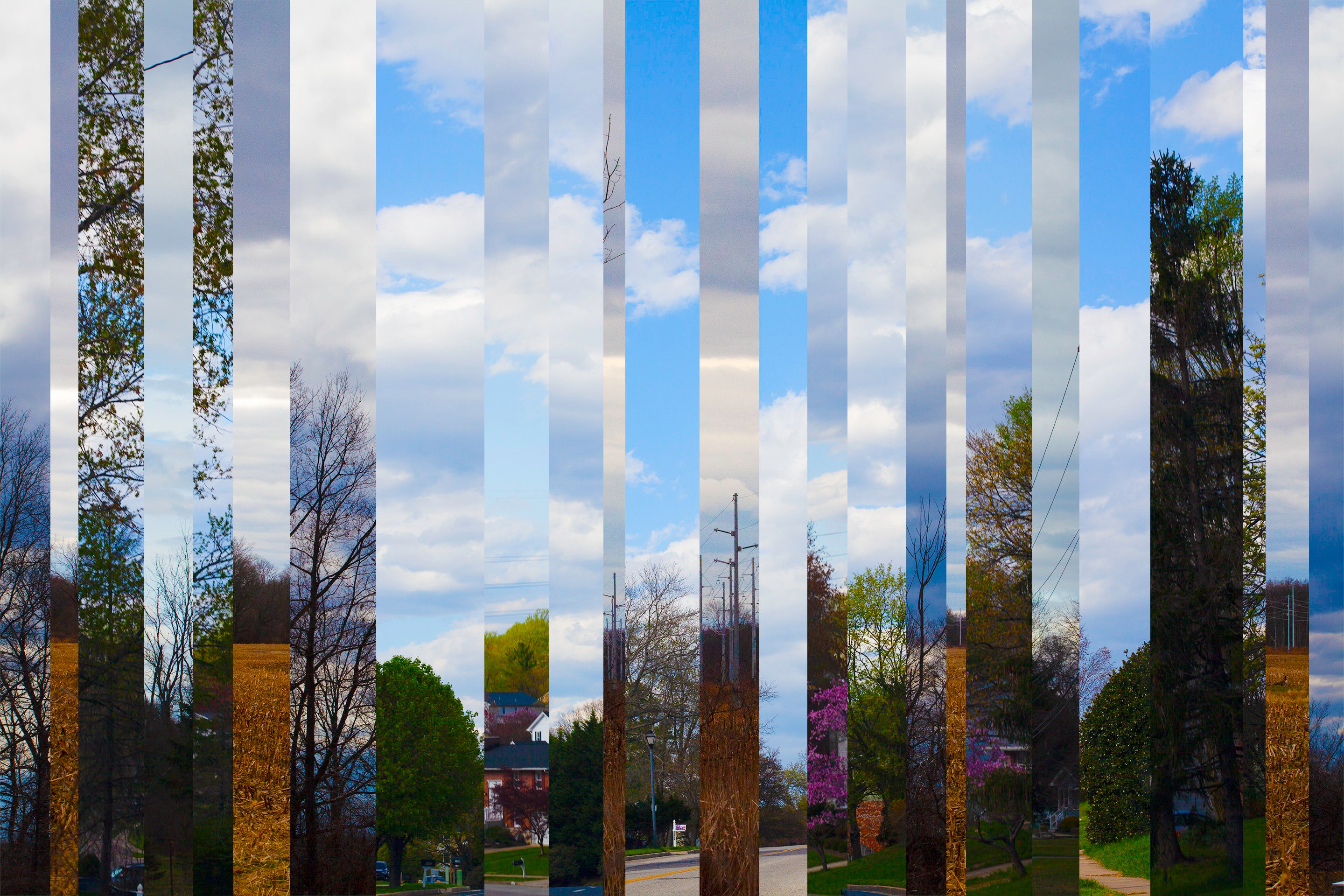 Landscape Collage - Etsy