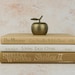 Book Set of Tan Ivory Beige Decorative Book Stacks - Home Decor Books ...