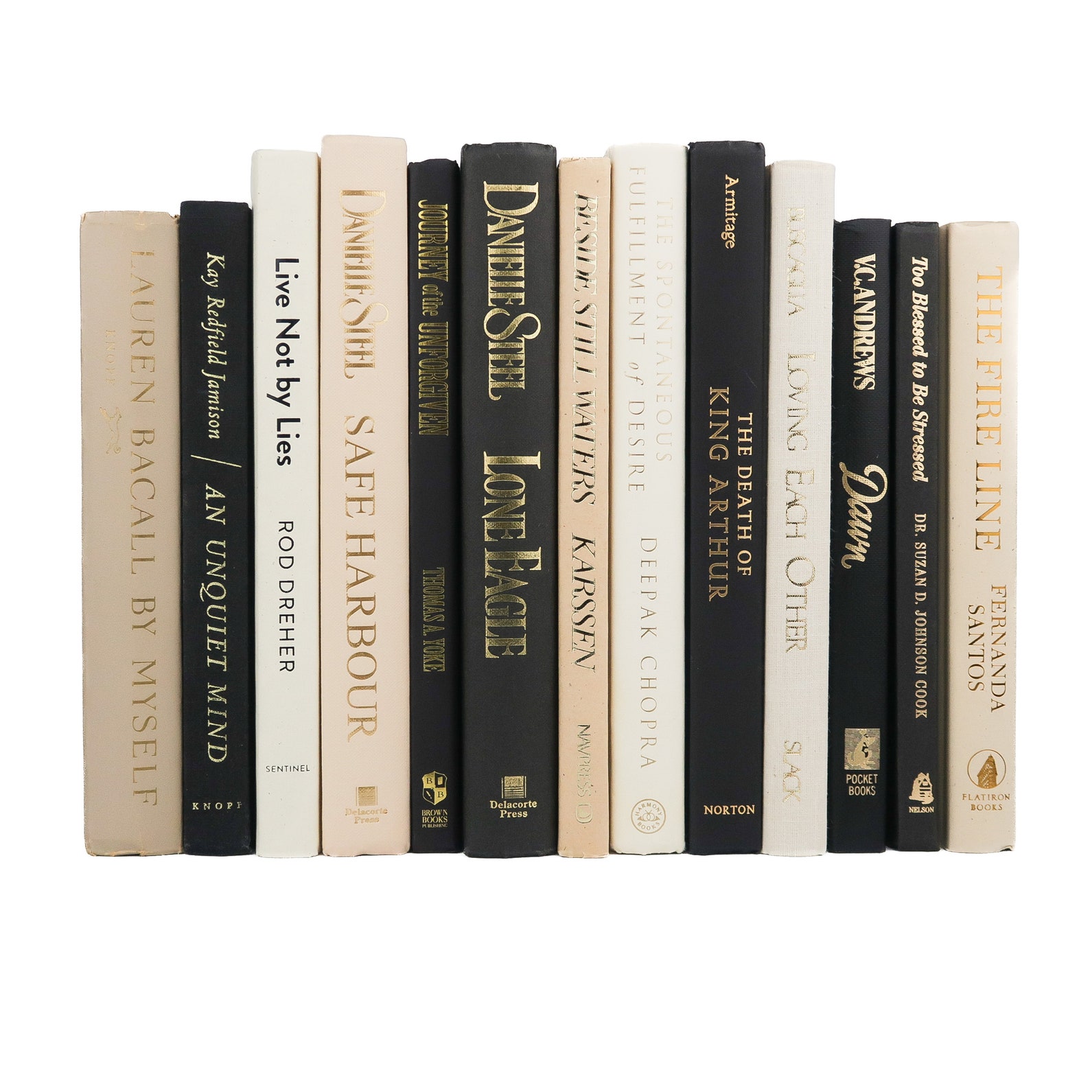 Book Bundle of Black Beige Cream Decorative Books - Modern Home Decor ...