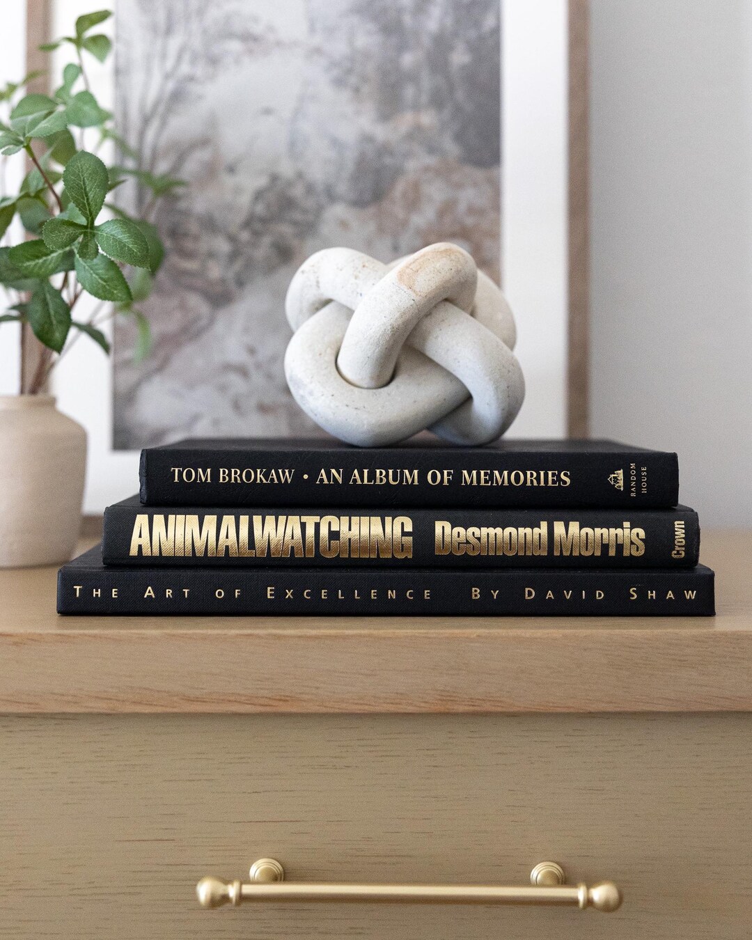 Luxe Black Large Coffee Table Book Set Decorative Books Tom Ford AD 100 ...