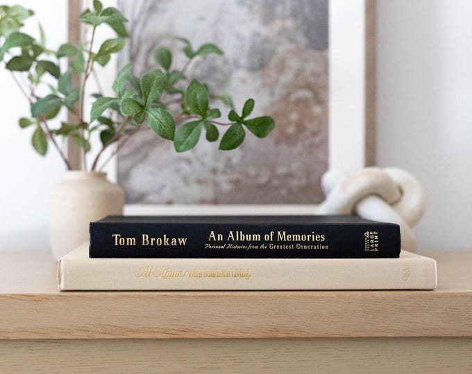 Black Beige Gold Large Coffee Table Book Set Hardcover Decorative Books ...