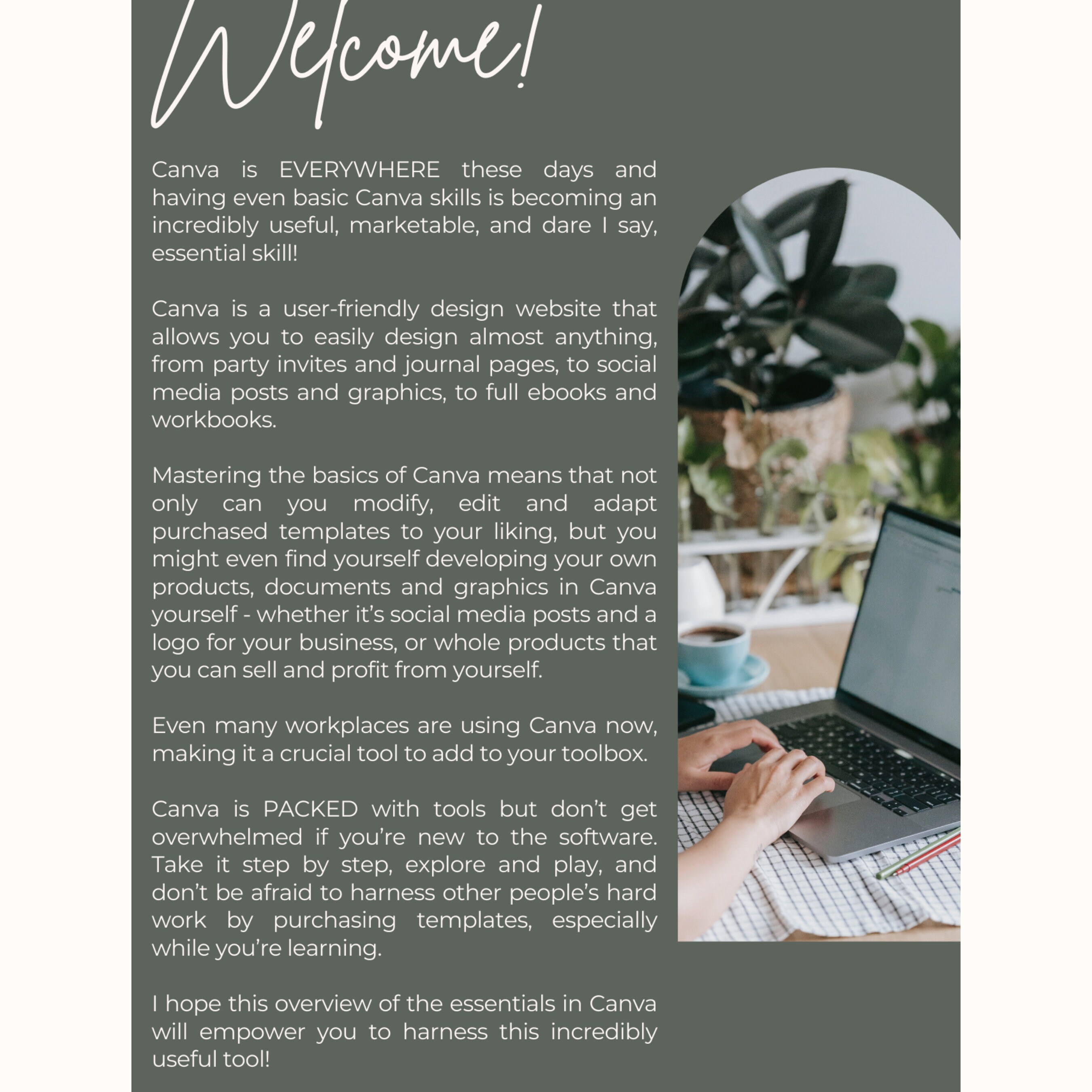 Canva 101: A Crash Course How to Guide With Master Resell Rights MRR ...