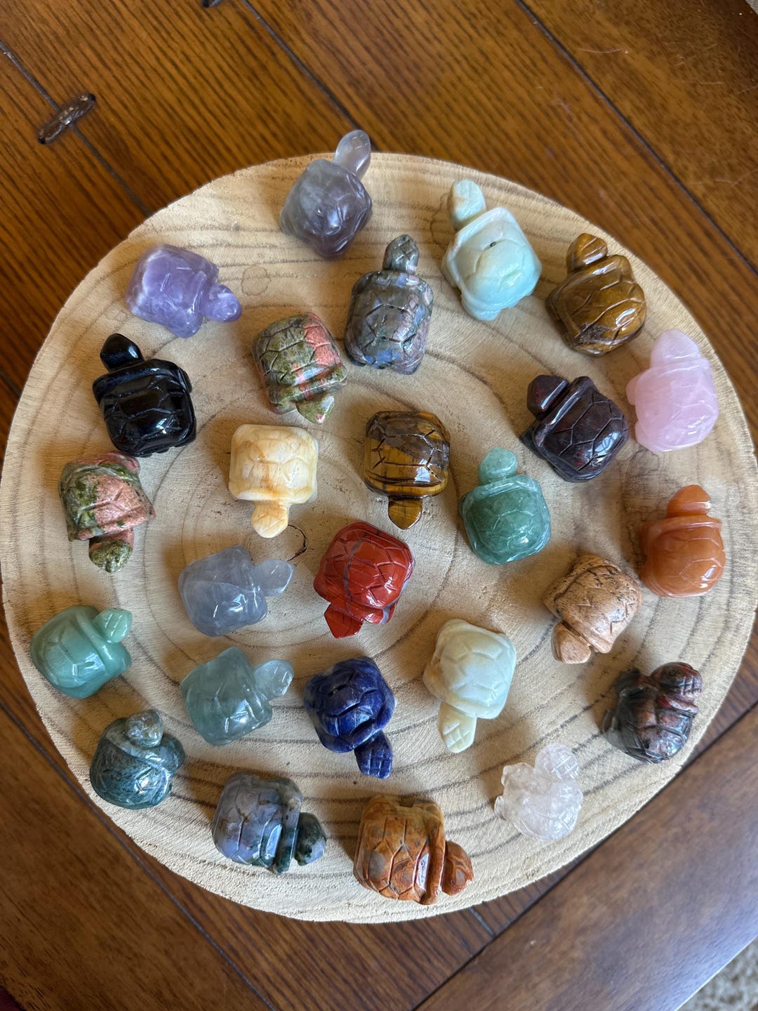 Assorted Mini Turtles- Sold Individually - Etsy