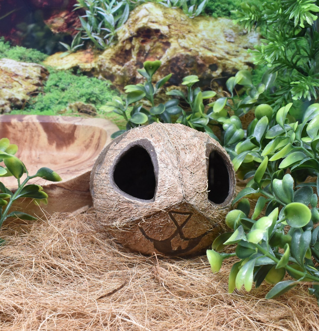 Coconut Hut Animal Hide - Etsy