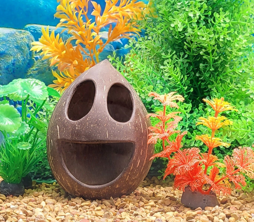 All Natural Aquarium Decor Small Fish Hide Betta Cave Happy - Etsy