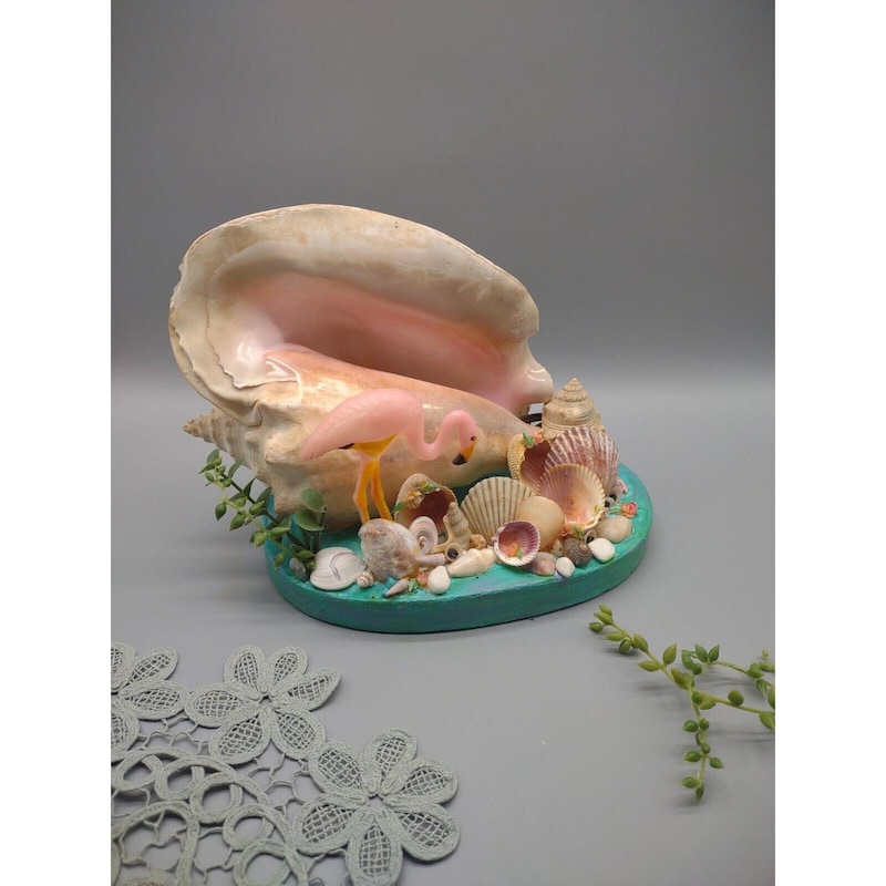 Conch Shell Lamp - Etsy