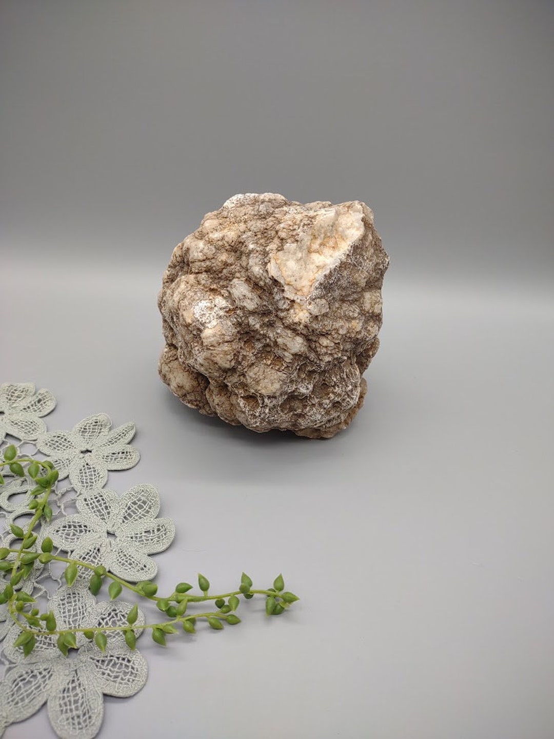 Large 7.5 Lb Unopened Roundish Geode From Southern Illinois/indiana ...