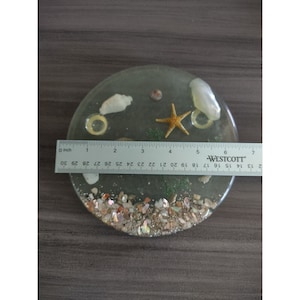 Vintage Lucite Sea Shell Star Fish 6.5" Coastal Nautical Trivet, Free ...