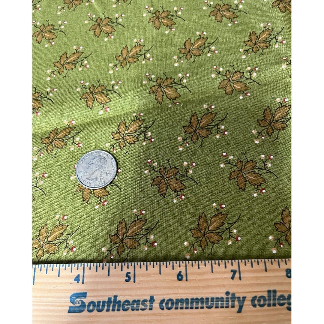 Quilt Craft Fabric 100% Cotton Arnold's Attic Pattern 8162 Moda Fabrics ...