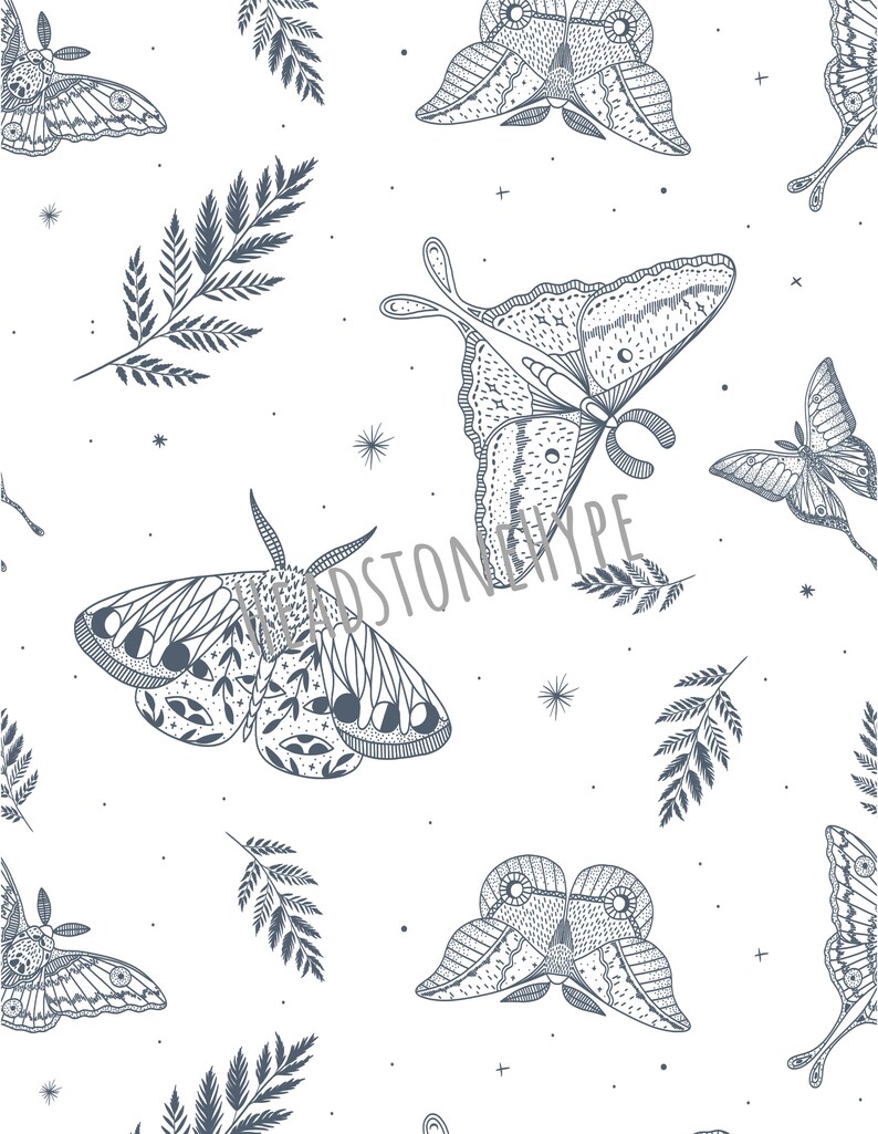 Moth Coloring Page -- Adult Coloring Page - Etsy