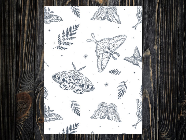 Moth Coloring Page -- Adult Coloring Page - Etsy