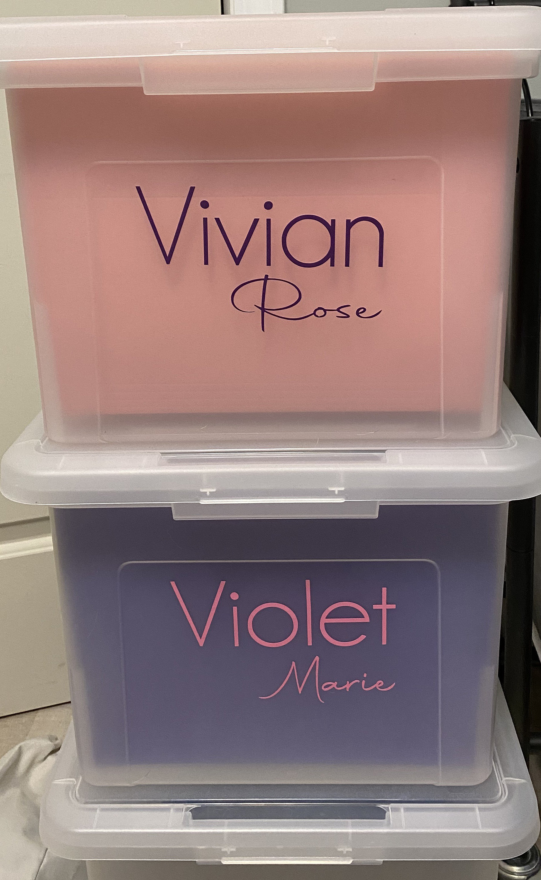 Personalized Milestone Bins, Personalized Bin, Unique Storage Bin ...