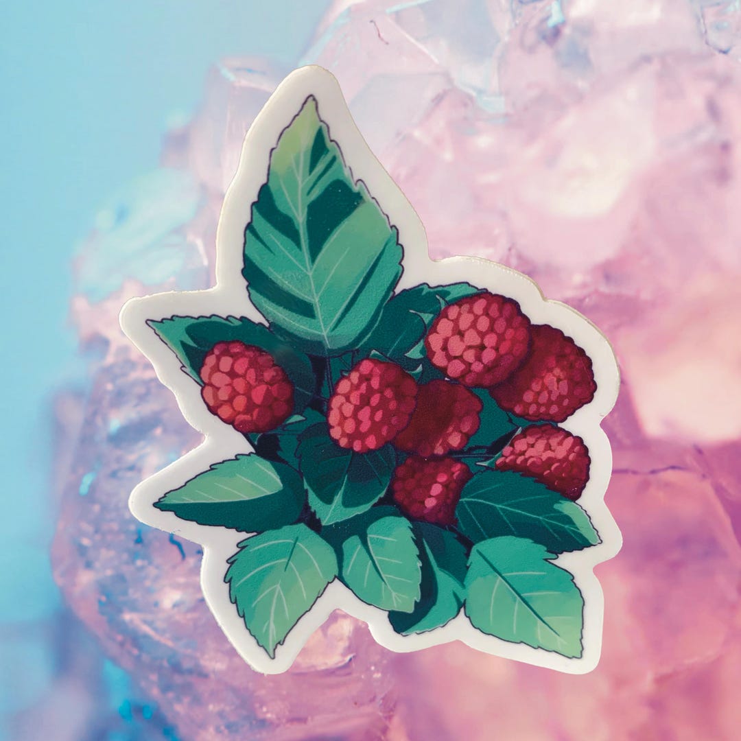 Raspberry Bush Die Cut Sticker Berry Picking Vinyl Decal - Etsy