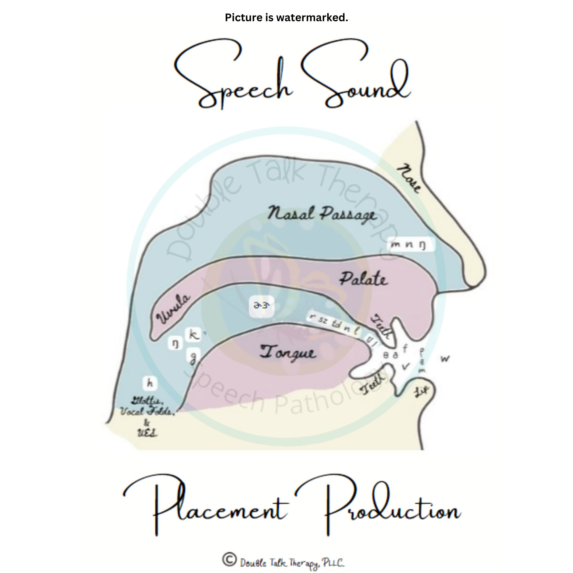 Digital Download Speech Sound Production Poster Pink & Blue - Etsy