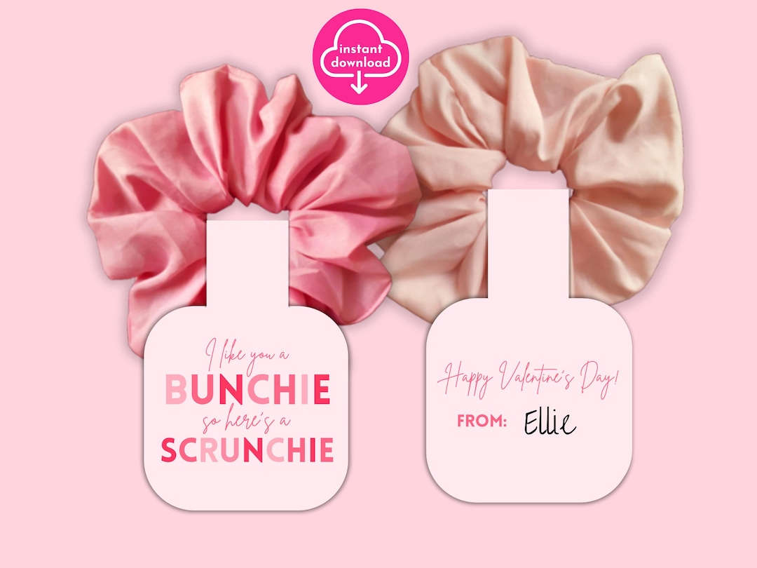 Printable Scrunchie Valentine Cards | I Like You a Bunchie Here's a ...
