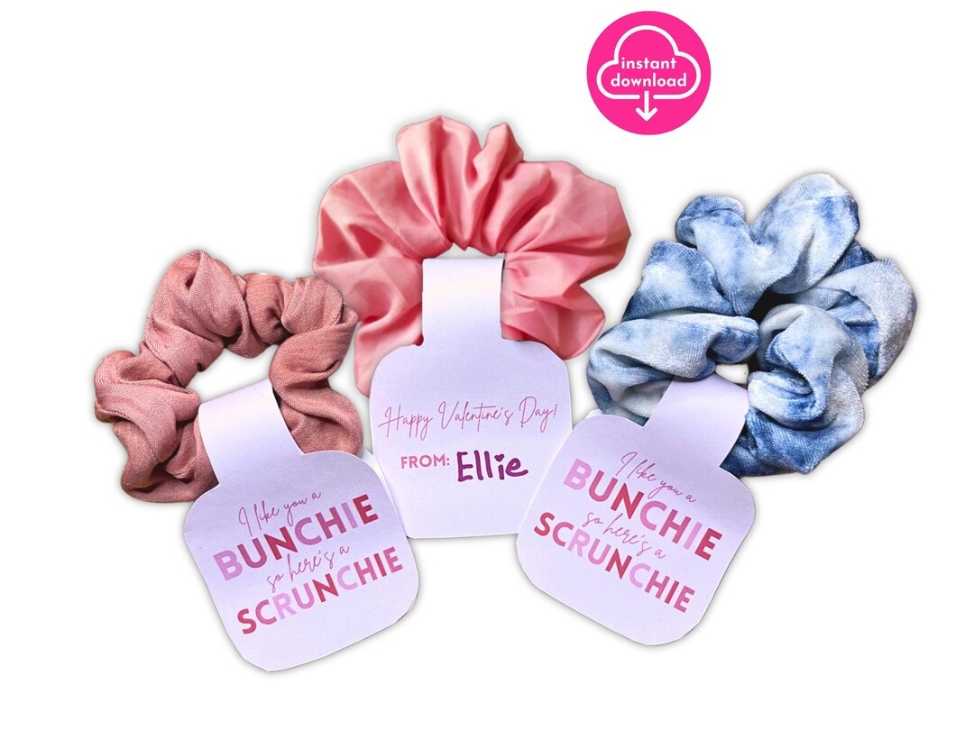 Printable Scrunchie Valentine Cards | I Like You a Bunchie Here's a ...