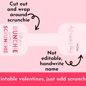 Printable Scrunchie Valentine Cards | I Like You a Bunchie Here's a ...