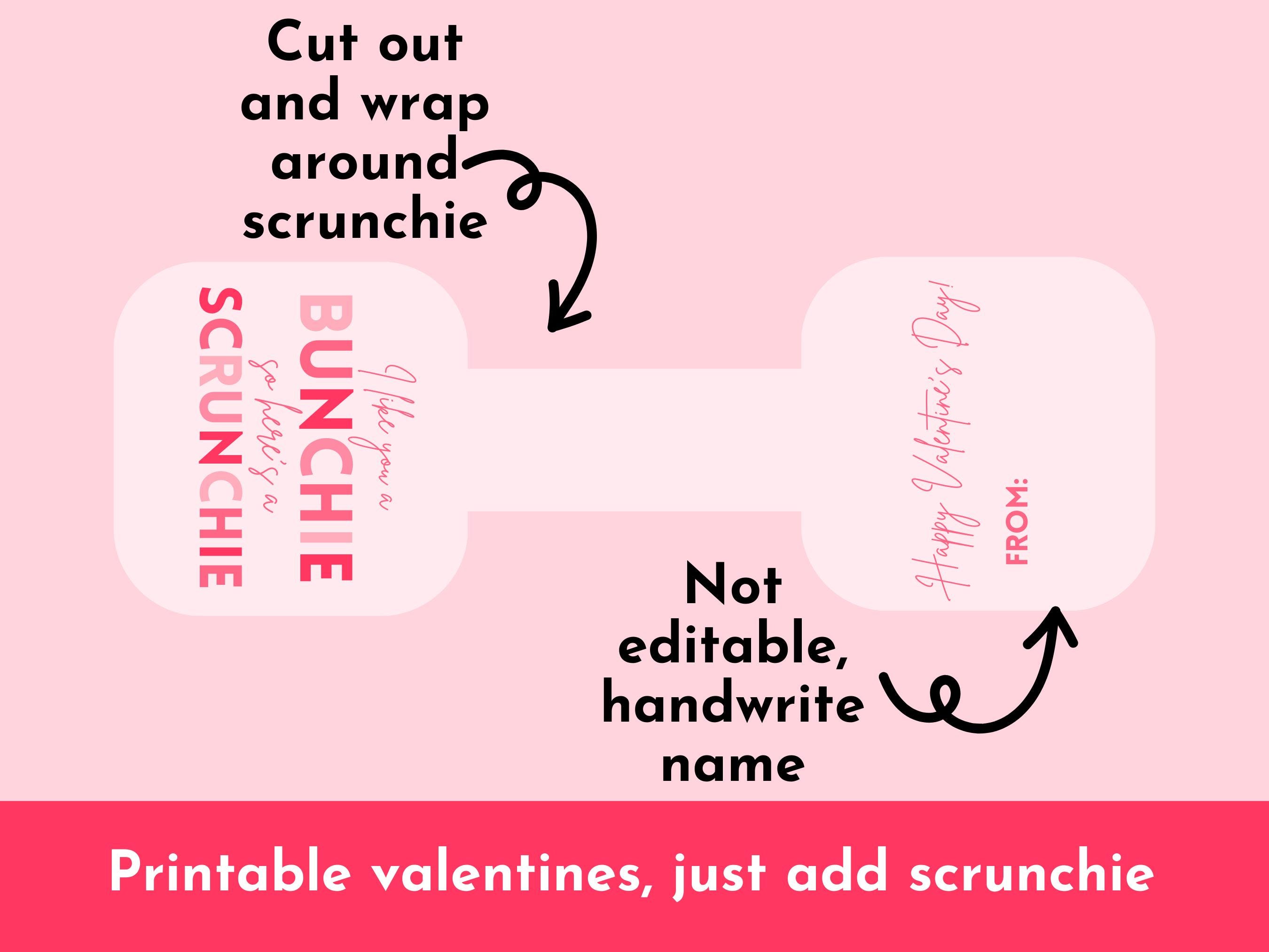 Printable Scrunchie Valentine Cards | I Like You a Bunchie Here's a ...