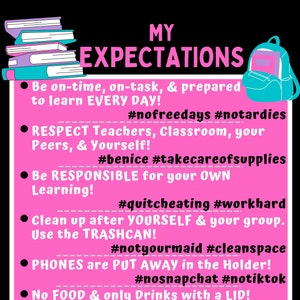 High School or Middle School Classroom Rules/expectations Poster- Pink ...