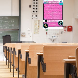 High School or Middle School Classroom Rules/expectations Poster- Pink ...