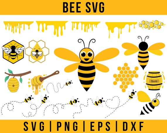 Bee Svg Bundle Cute Bee Svg Honey Bee Path Bundle SVG Queen - Etsy