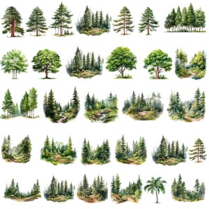 Watercolor Forest Trees Clipart, Pine Trees Png, Greenery Clipart ...