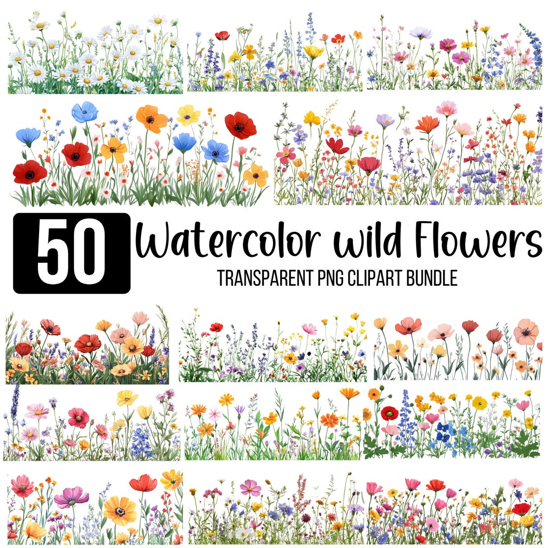 50 Wildflower Clipart Bundle, Watercolor Wildflower Png, Wildflower ...