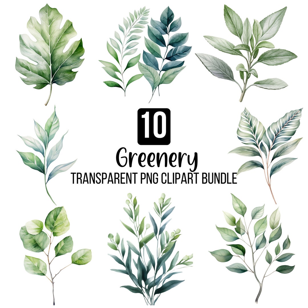 Greenery Clipart Png Bundle, Foliage Png Transparent Background ...