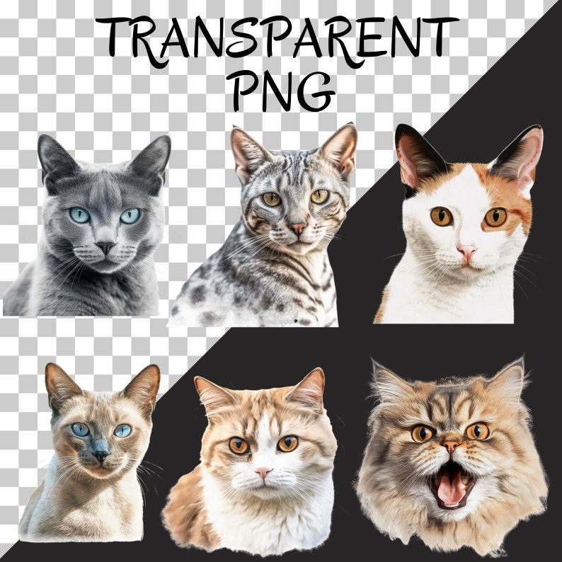 50 Cat Clipart PNG Bundle, 20 Cat Illustration Designs, Cute Cat PNG ...