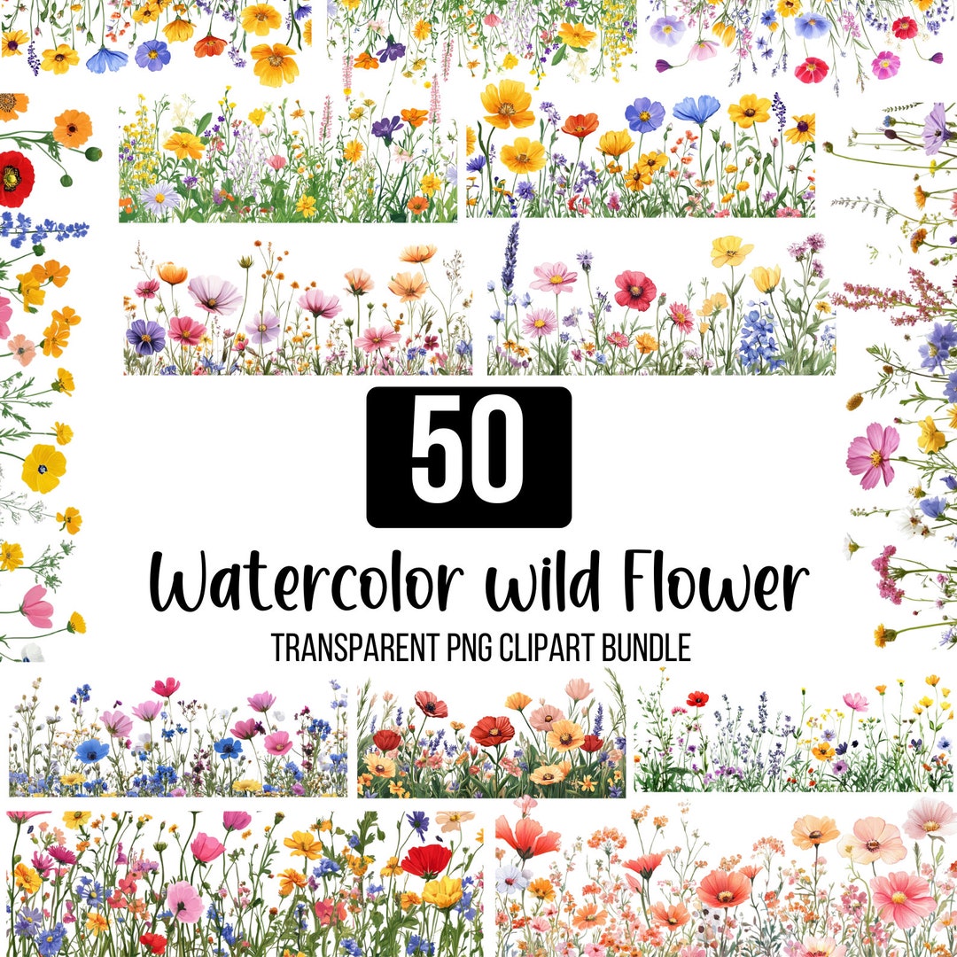 50 Wildflower Clipart Bundle, Watercolor Wildflower Png, Wildflower ...