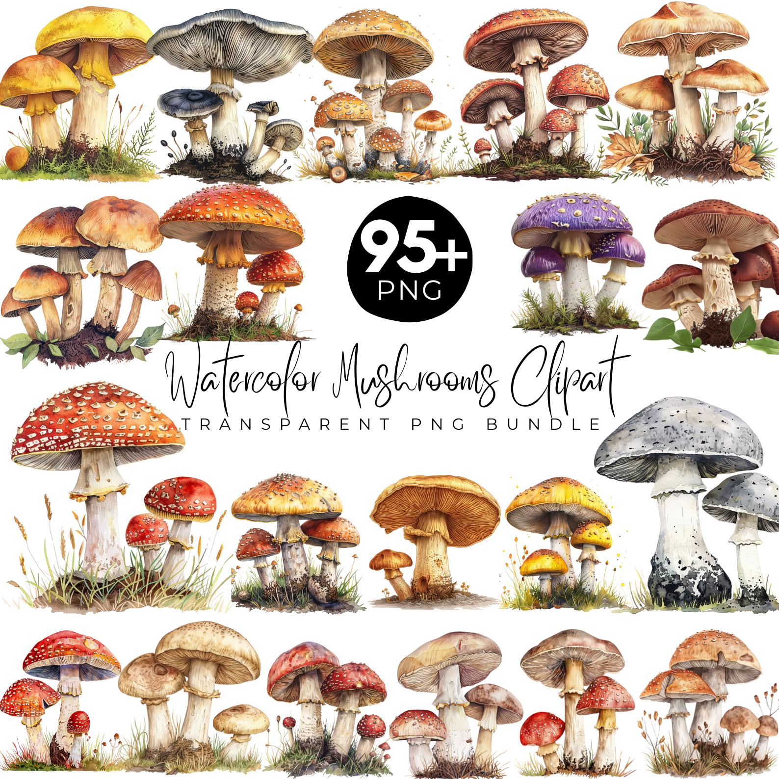 95+ Watercolor Mushrooms Clipart Bundle, Cute Mushroom & Magical Nature ...
