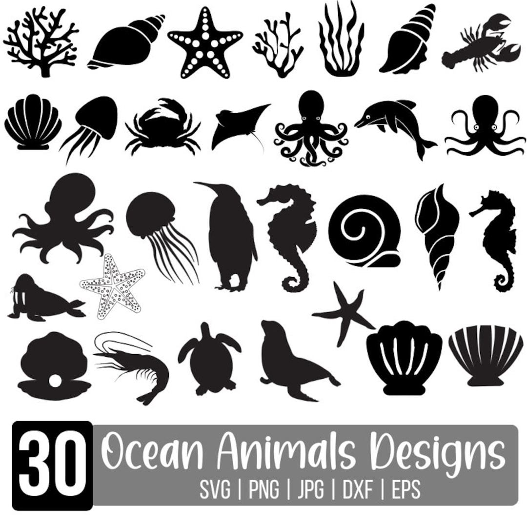 Sea Animals SVG Bundle, Ocean Animals Svg, Ocean Life Svg, Under the ...