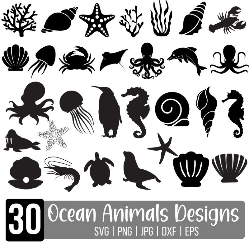 Ocean Animals Svg - Etsy
