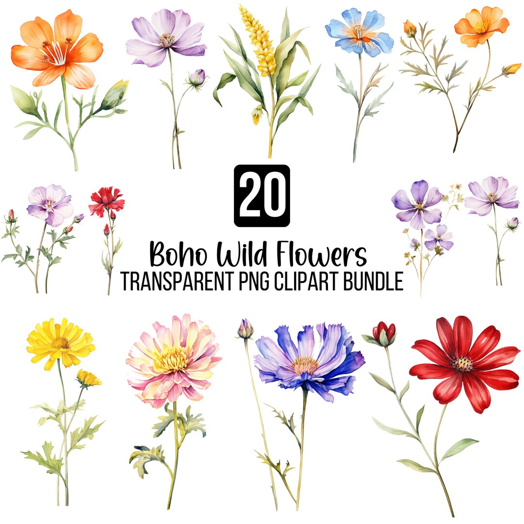 20 Watercolor Wildflower Clipart Png, Boho Wild Flowers, Watercolor ...