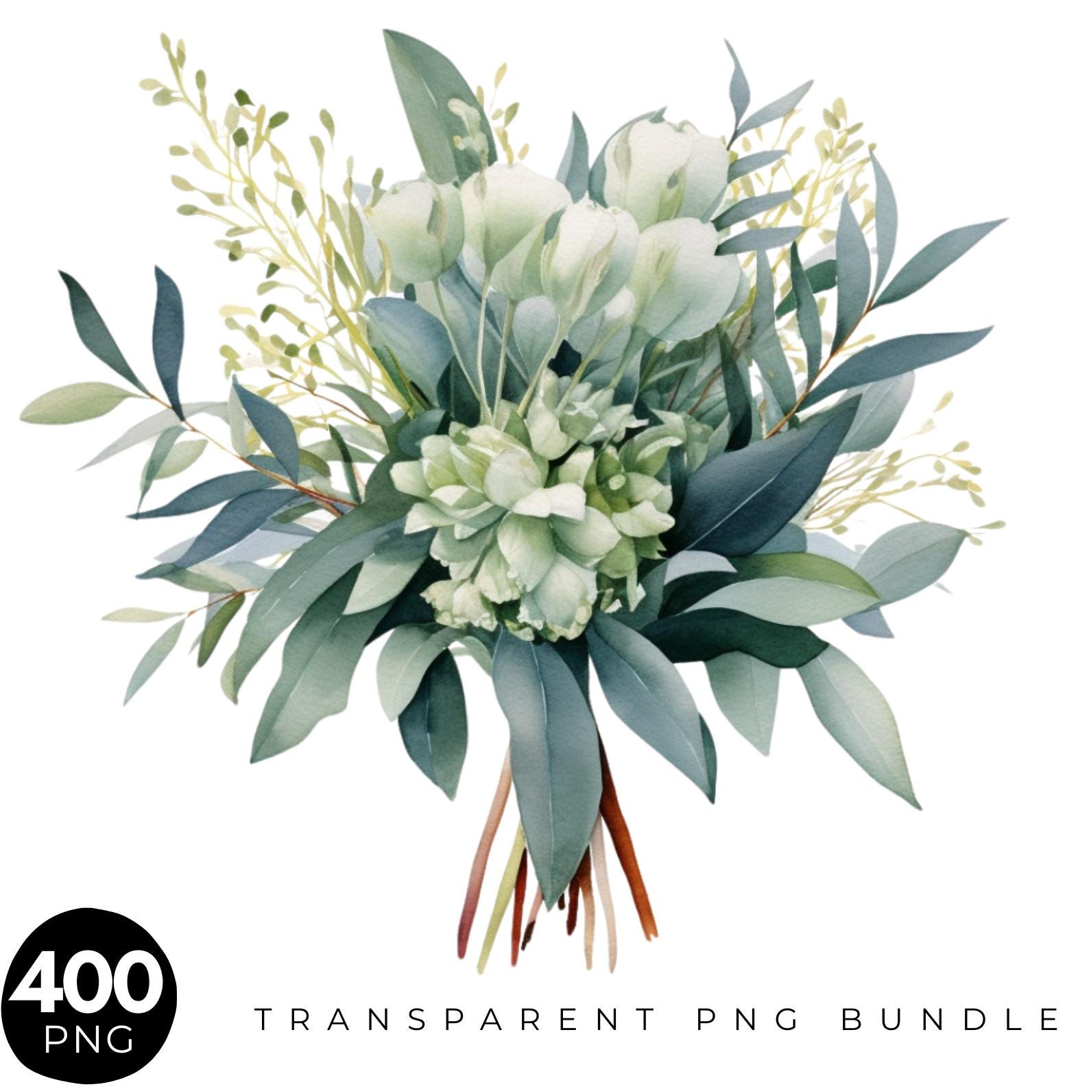 400 Watercolor Eucalyptus Clipart Bundle, Eucalyptus Leaves PNG ...