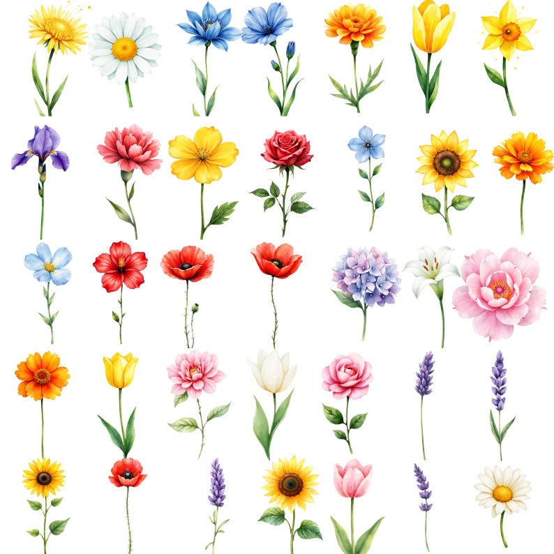 120+ LUSH Wildflower Clipart Bundle, Boho Watercolor Wildflowers Png ...
