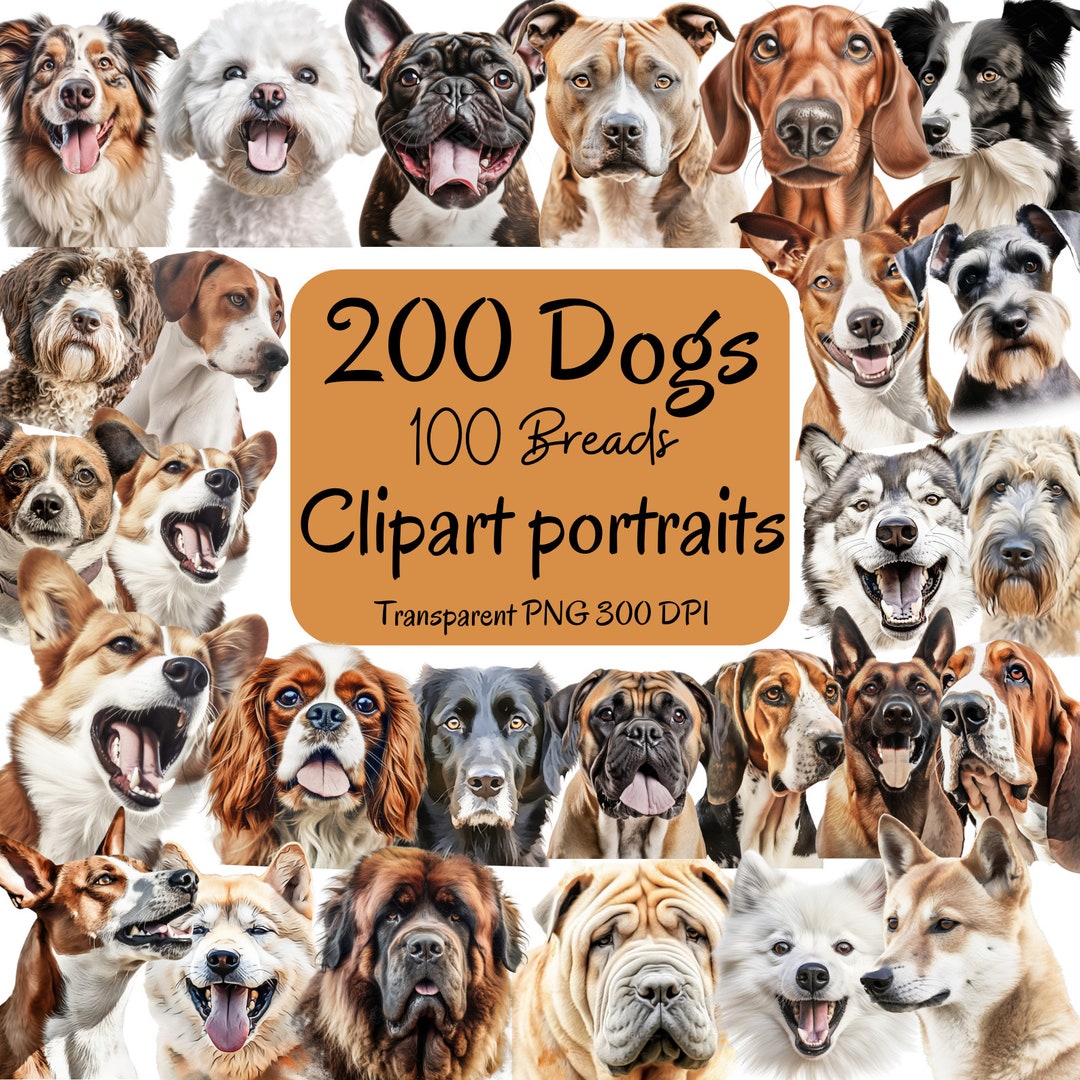 100 Dog Breeds Clipart Bundle, Dog Stickers Clipart, Cute Dogs PNG ...