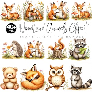 40+ Woodland Animal Clipart Bundle, Forest Animals Png, Watercolor ...