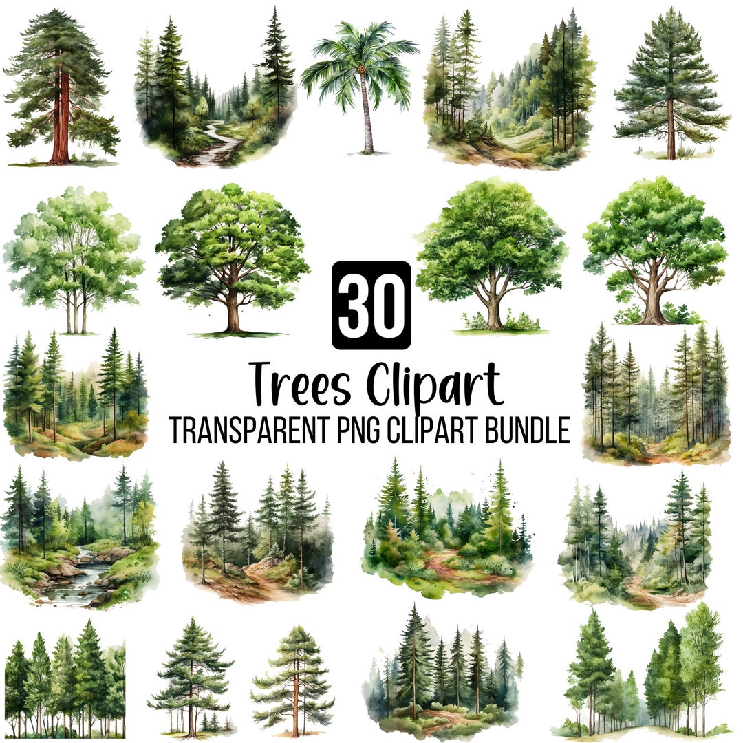 Watercolor Forest Trees Clipart, Pine Trees Png, Greenery Clipart ...