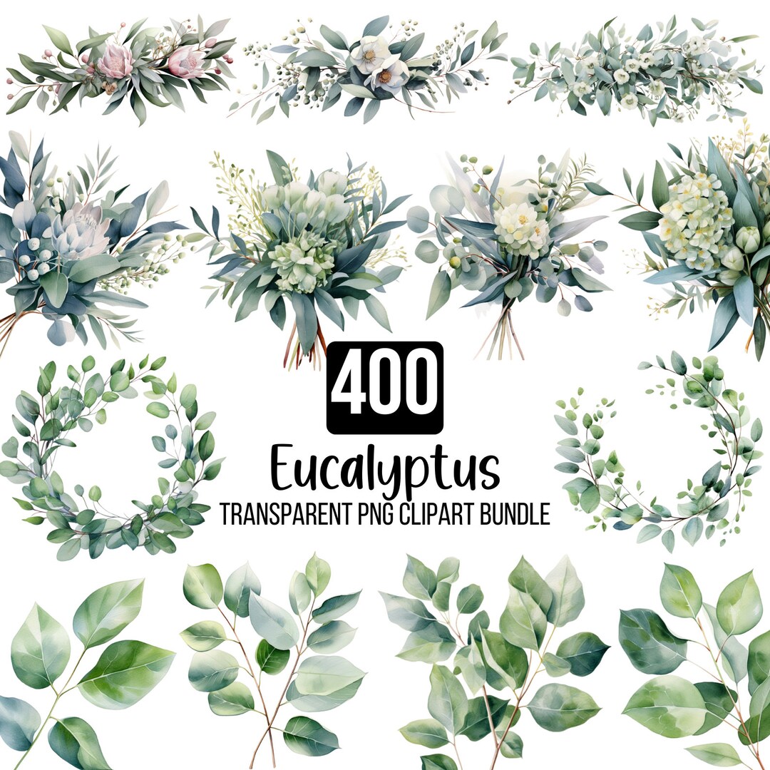 400 Watercolor Eucalyptus Clipart Bundle, Eucalyptus Leaves PNG ...