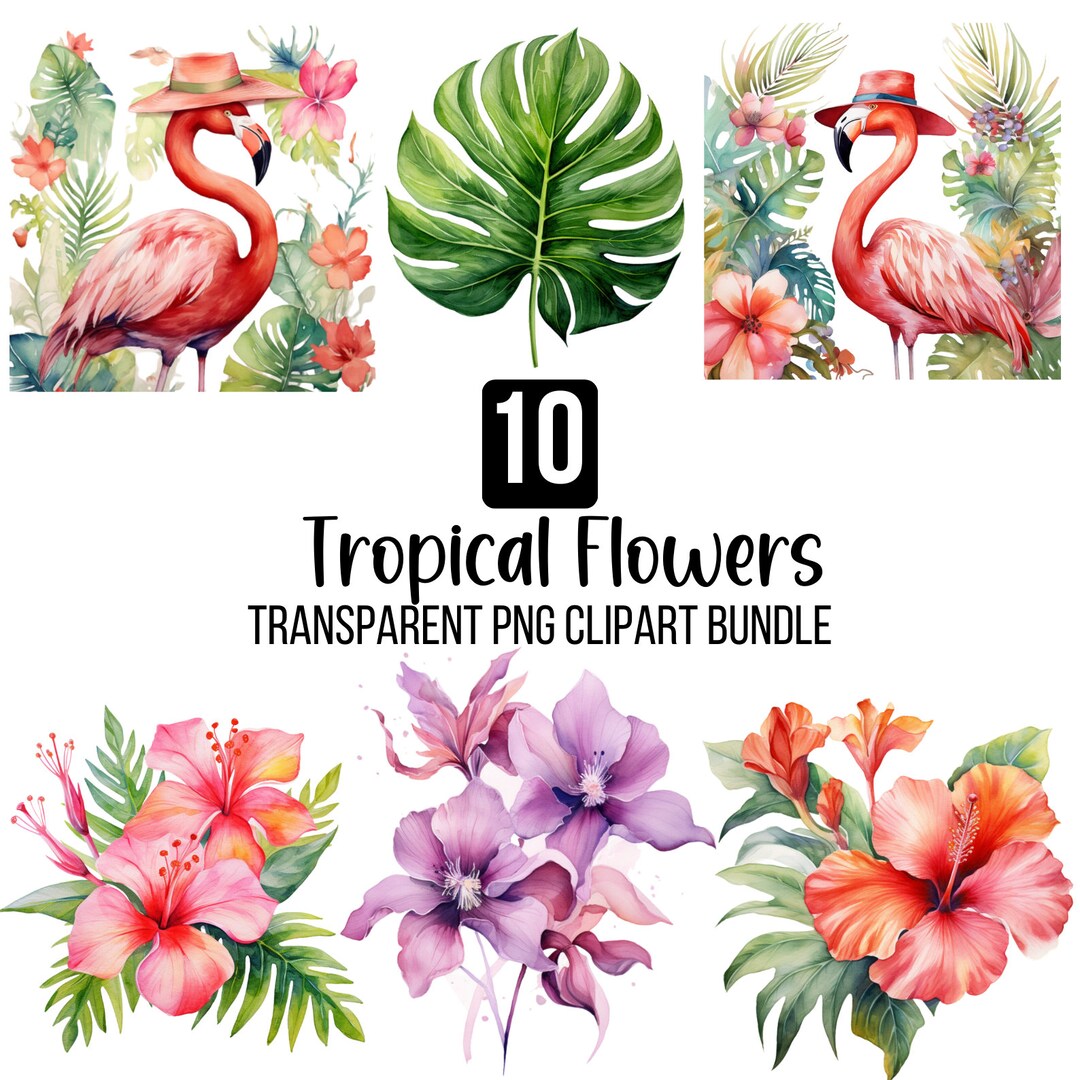 Tropical Flower Clipart Bundle, Tropicana, Flamingo Clipart, Tropical ...