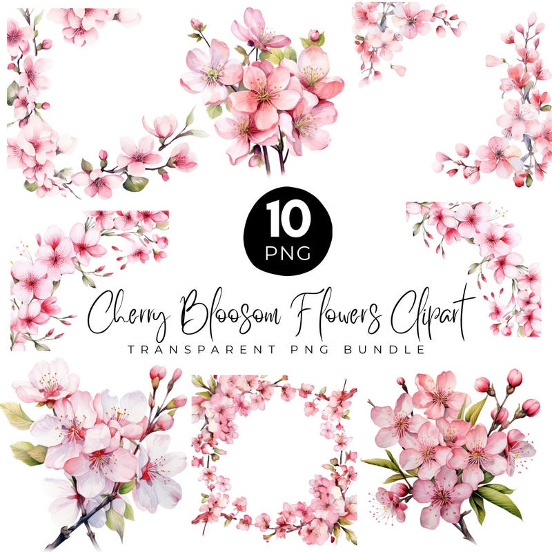 Cherry Blossom Clipart - Etsy