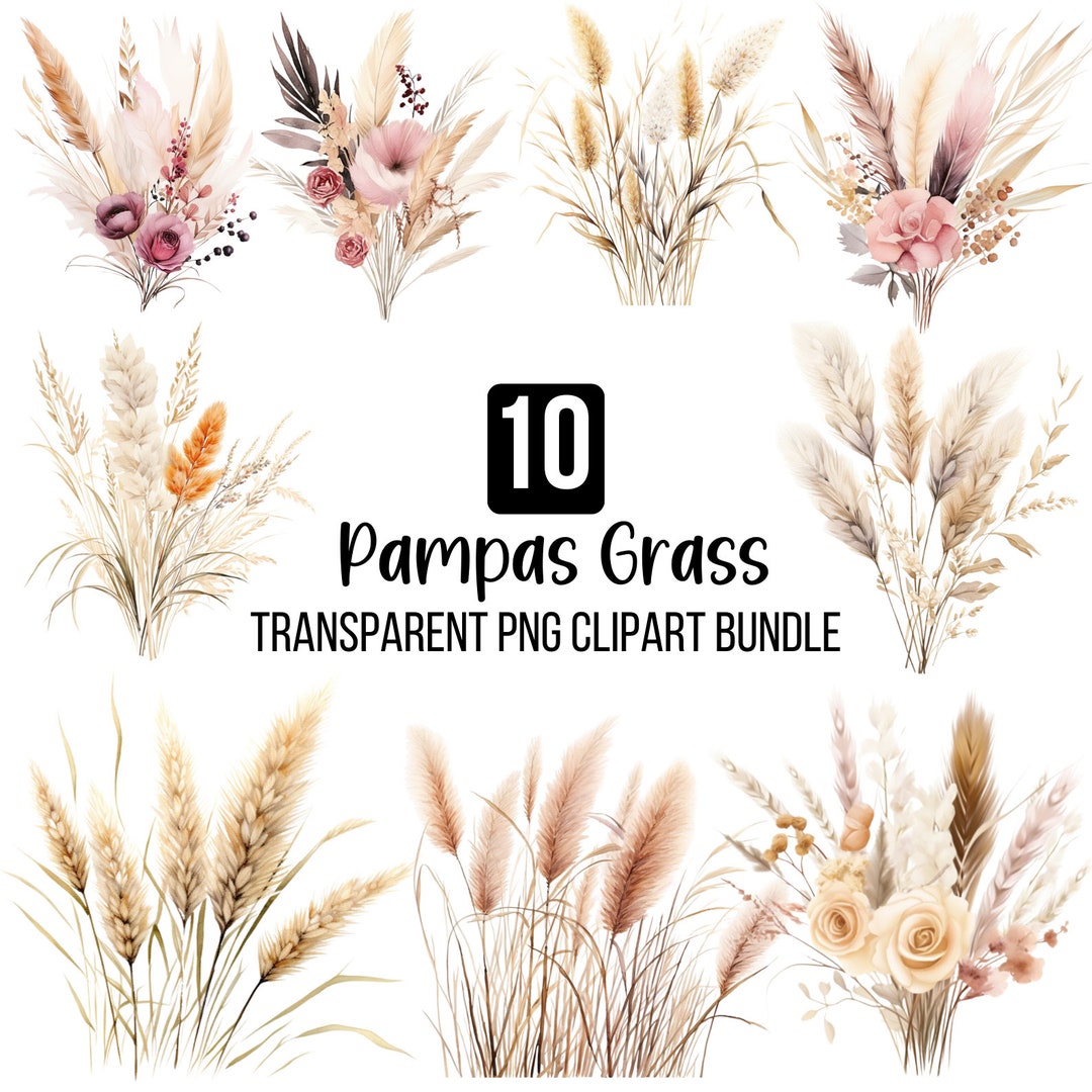Watercolor Pampas Grass Clipart Png, Pink Bohemian Clipart Bundle, Boho ...
