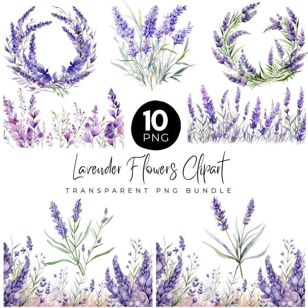 Watercolor Lavender Flower Clipart, Wildflowers Floral Clipart PNG ...