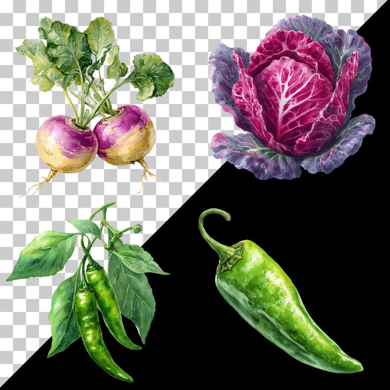 149 Vegetables Clipart, Watercolor Veggie PNG Bundle, Vegetables ...