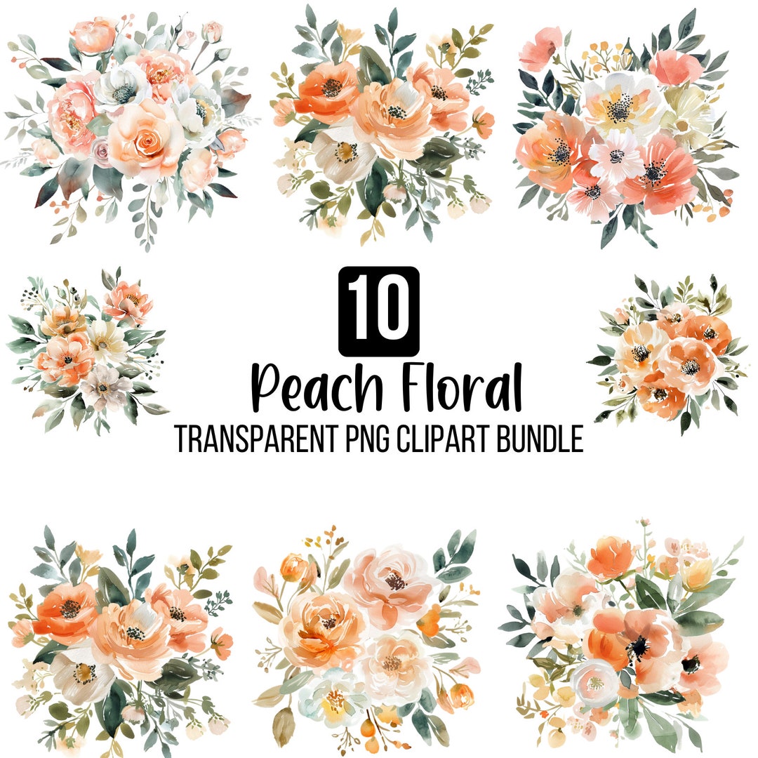 Watercolor Peach Floral Clipart, Peach Flower Png Bundle, Blush Floral ...
